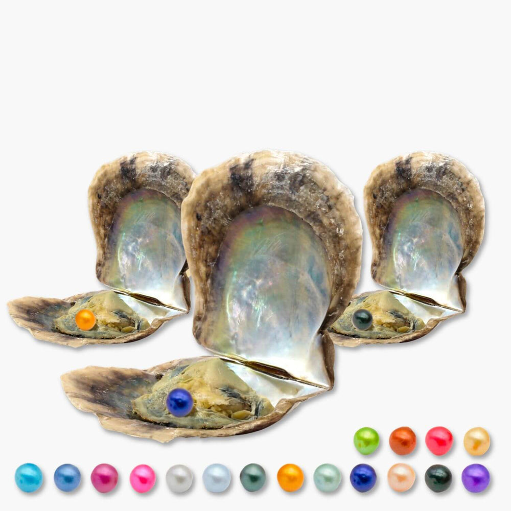 Wie kommt die Perle in die Muschel? Natürliche und gezüchtete Perlen e