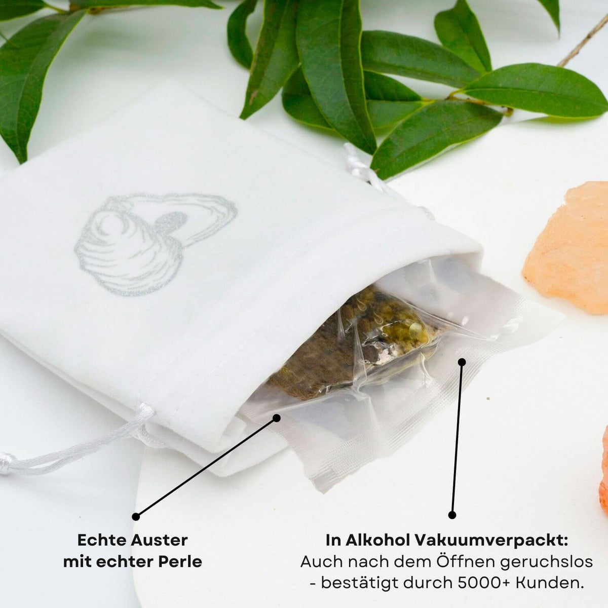 Auster mit Perle kaufen » Echte Muschel mit Perle - WunschPerlen